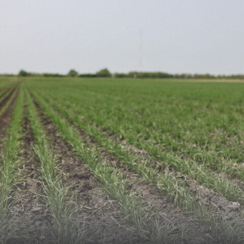 AgriMAX | Shaping the Future of Agriculture | Fisher, MN